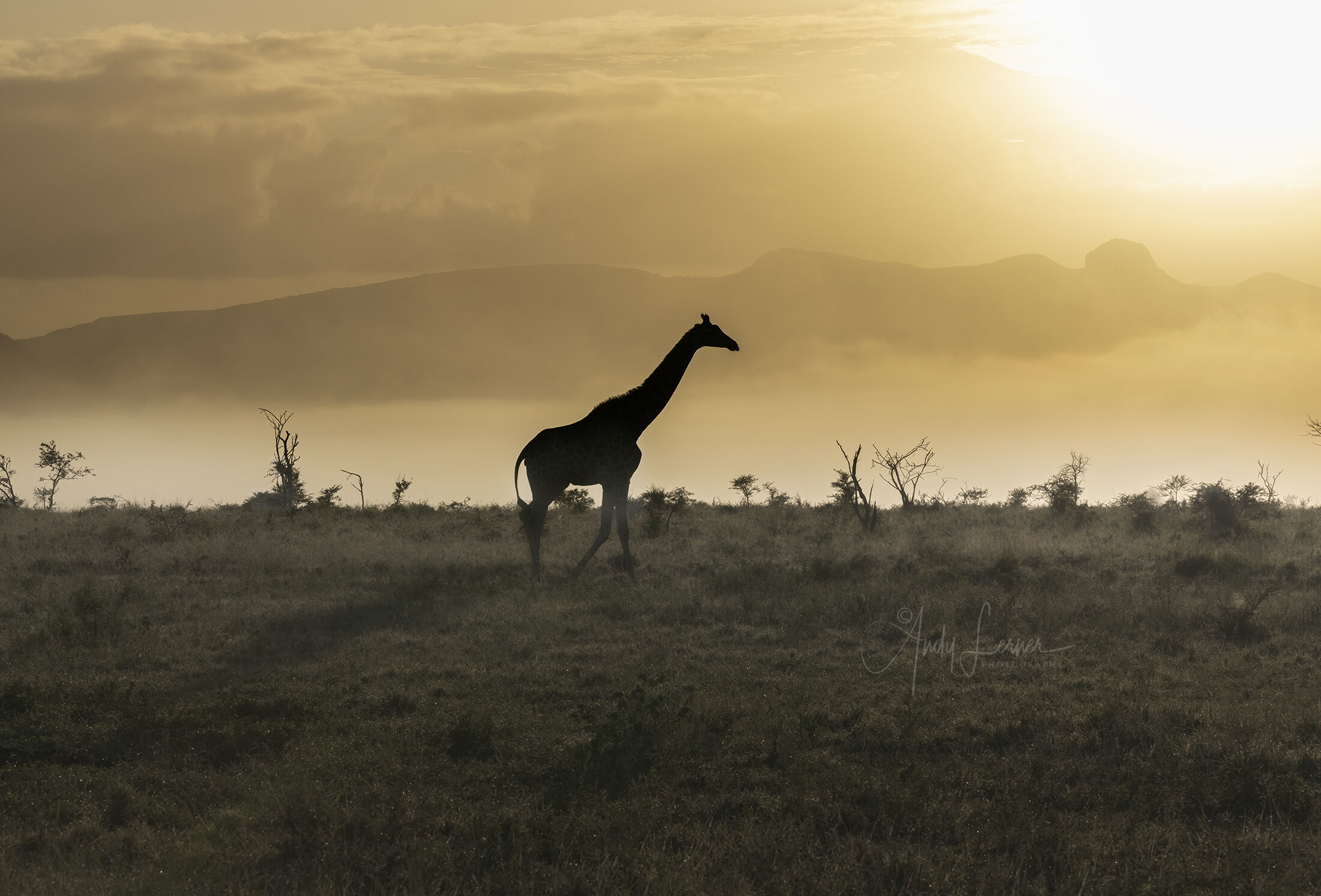 The Year In Review | ANDY LERNER PHOTO